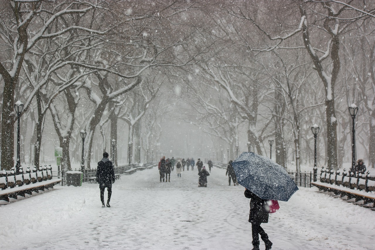 Winter Scenes | Celebrating the Beauty of Winter | Art & Home